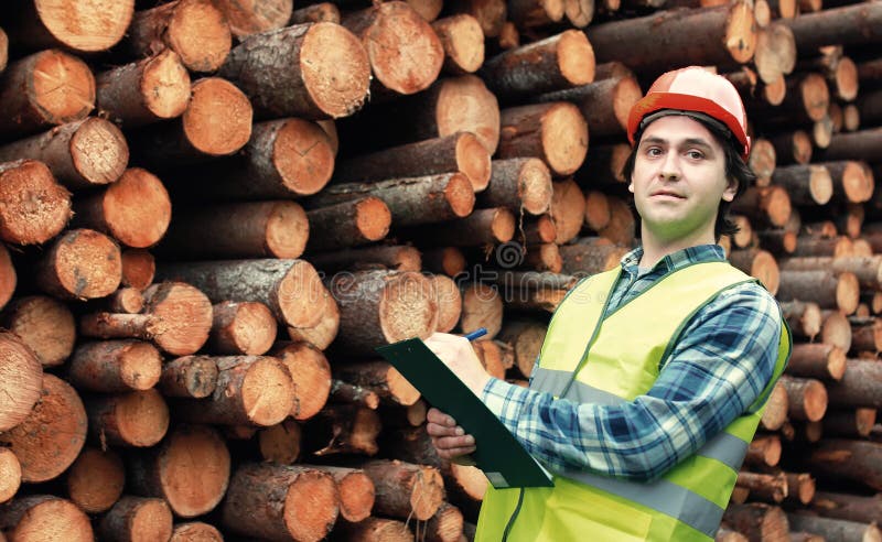 Worker in Helmet Counts Wood Lumber Stock Photo - Image of business ...