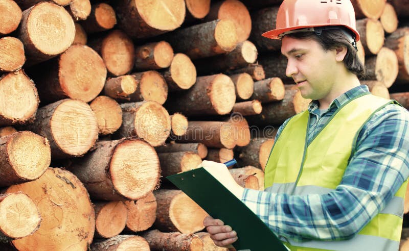 Worker in Helmet Counts Wood Lumber Stock Photo - Image of industrial ...