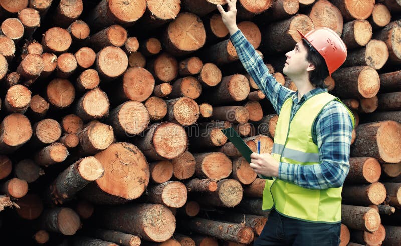 Worker in Helmet Counts Wood Lumber Stock Photo - Image of forestry ...