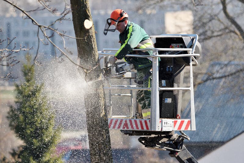 The Worker with Helmet Working at Height on the Trees Editorial Stock ...
