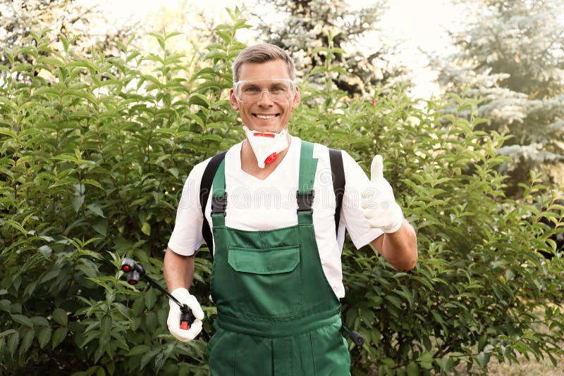 Worker with Insecticide Sprayer Near Green Bush Outdoors. Pest Control ...