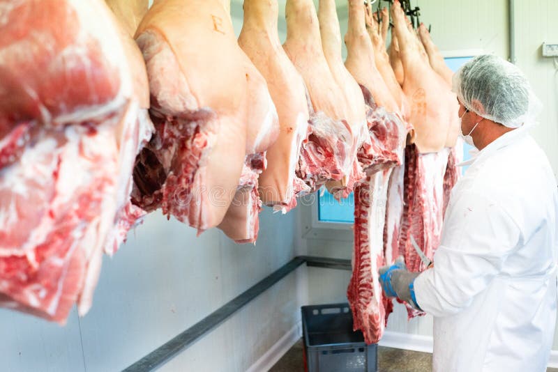 Worker Insideof Factory, Industrial Processing of Pork Editorial Image ...
