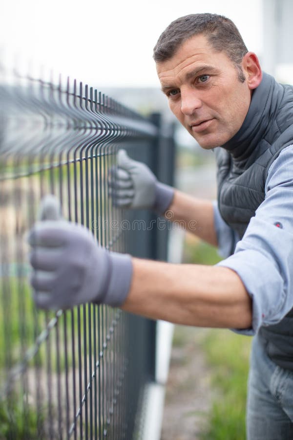 Worker Installing Welded Metal Mesh Fence Stock Photo - Image of ...