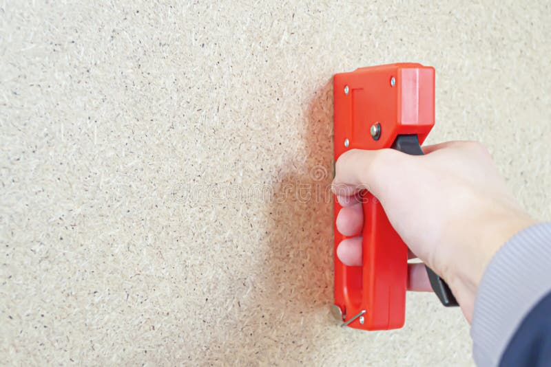 A Worker Installs Plywood Using a Close-up Stapler. Stock Image - Image ...
