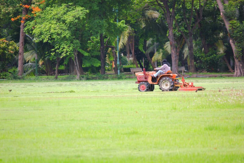 The Worker or Labor Riding Lawn Mower Working in Lawn Stock Photo ...