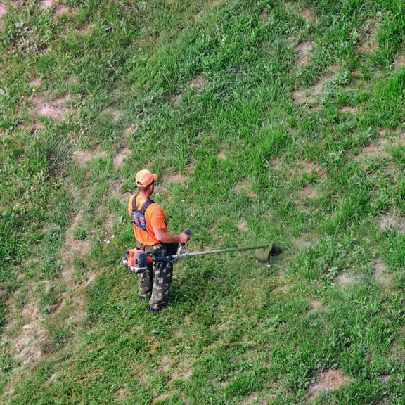 A Worker with a Lawn Mower Mows the Grass, Top View. a Man in an Ora ...