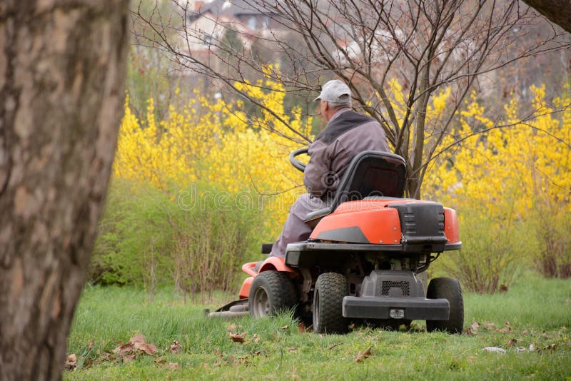 Worker at the Lawn Mower in the Park Editorial Image - Image of ...