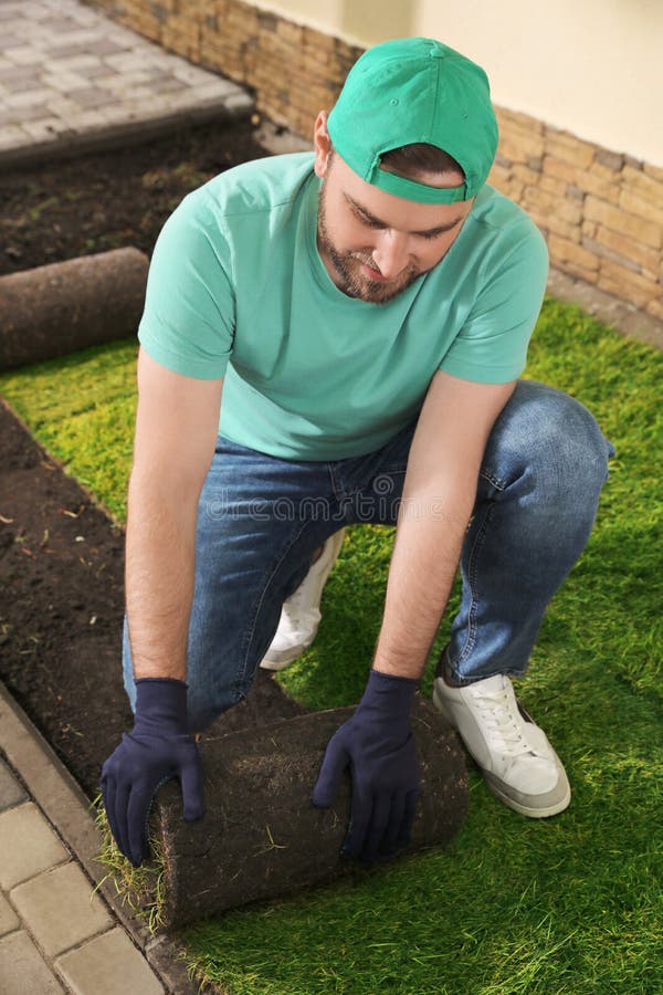 Worker Laying Grass Sod on Ground Stock Image - Image of happy, fresh ...