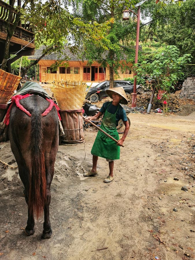 A Worker Loading Baskets with Grovel in Shuangfeng Village in Hunan ...