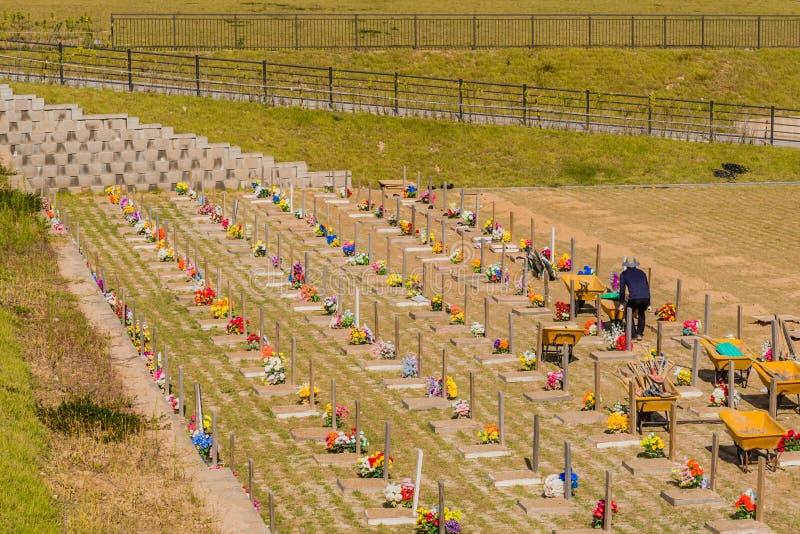 Worker at local cemetery stock photo. Image of graveyard - 160877846