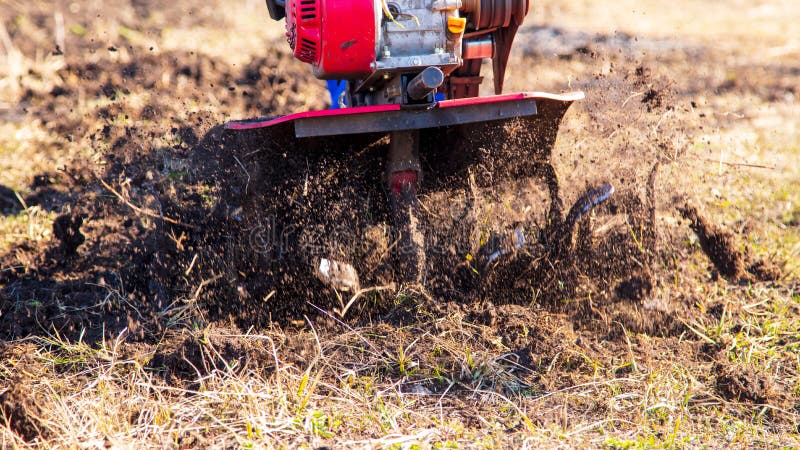 Worker with a Machine Cultivator Digs the Soil in the Garden Stock ...