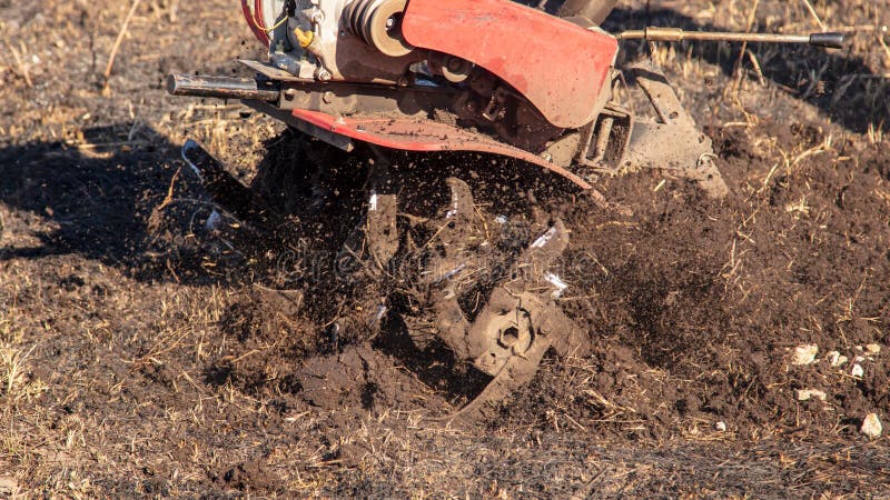Worker with a Machine Cultivator Digs the Soil in the Garden Stock ...