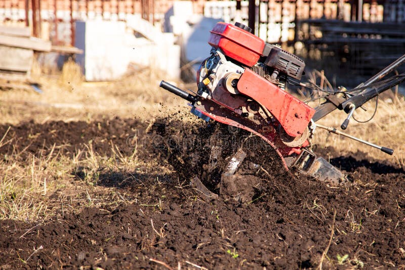 Worker with a Machine Cultivator Digs the Soil in the Garden Stock ...