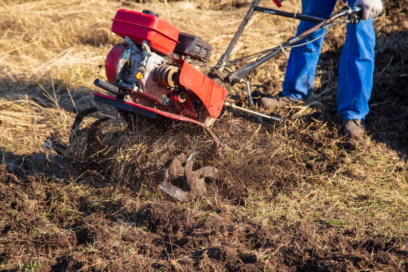 Worker with a Machine Cultivator Digs the Soil in the Garden Stock ...
