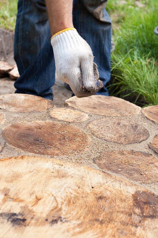 Walk Path in Garden Decorated with Wooden Stumps. Stock Image - Image ...