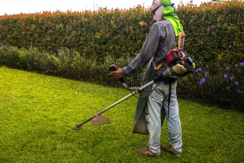 Worker Man Mows the Lawn Grass with a Lawn Mower Stock Photo - Image of ...