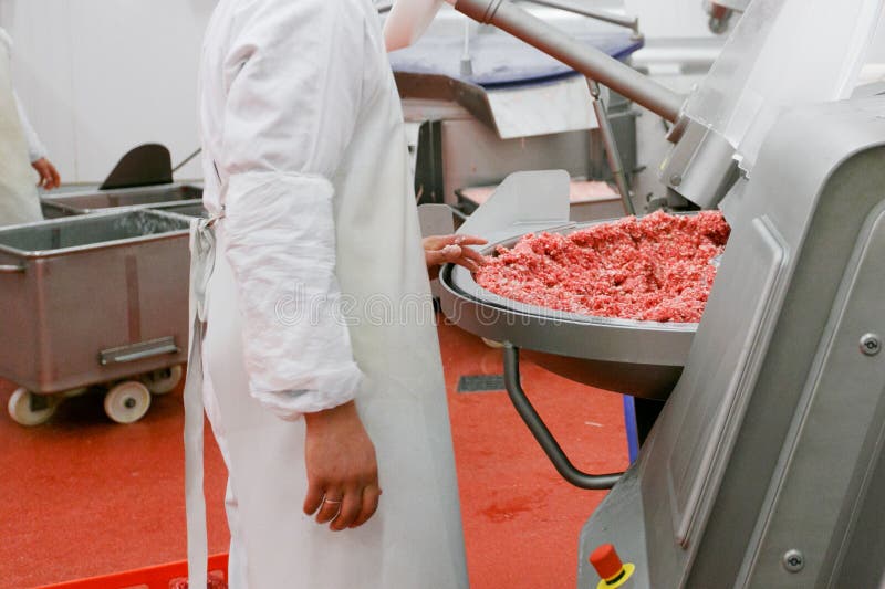 A Worker at the Meat Processing Factory, Adds Spices To Minced Meat in ...