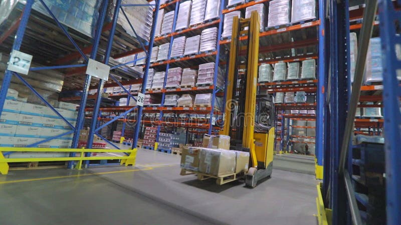 Worker on a Modern Forklift. Working in a Large Modern Warehouse Stock ...