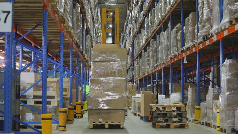 Worker on a Modern Forklift. Working in a Large Modern Warehouse Stock ...