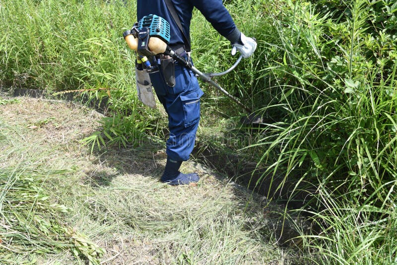 Mowing work stock photo. Image of cutter, gardening - 157797184