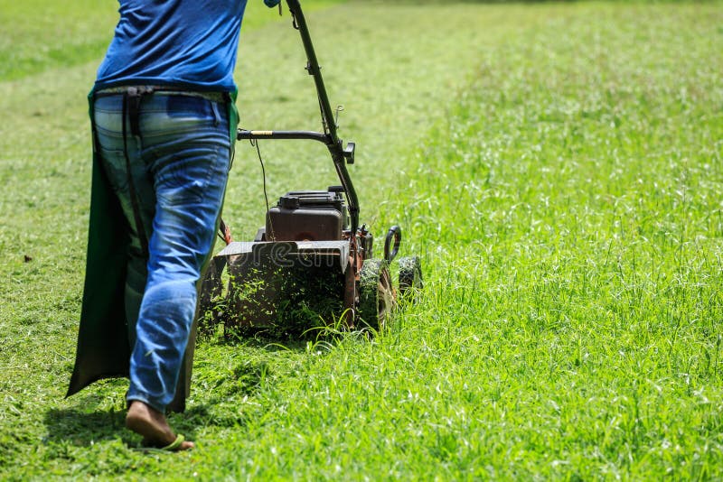 Worker Mowing Grass with Machine in the Public Garden Stock Photo ...