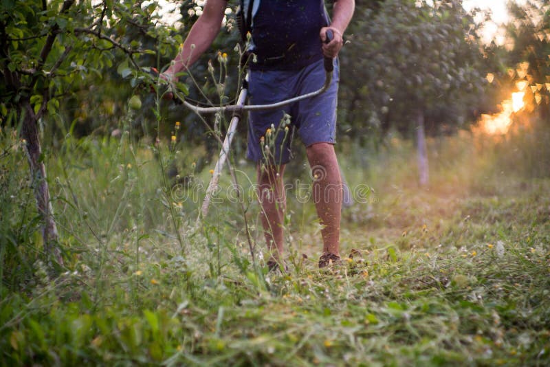 Worker Mowing Green Grass with a Trimming Machine Stock Image - Image ...