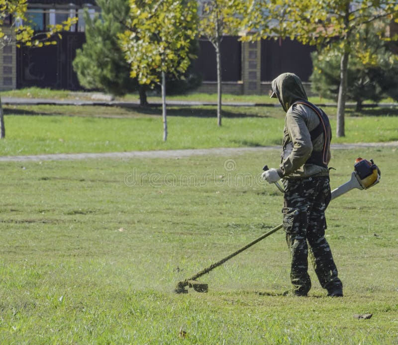 Worker Mowing the Lawn. Mowing Grass Trimmer Editorial Photography ...