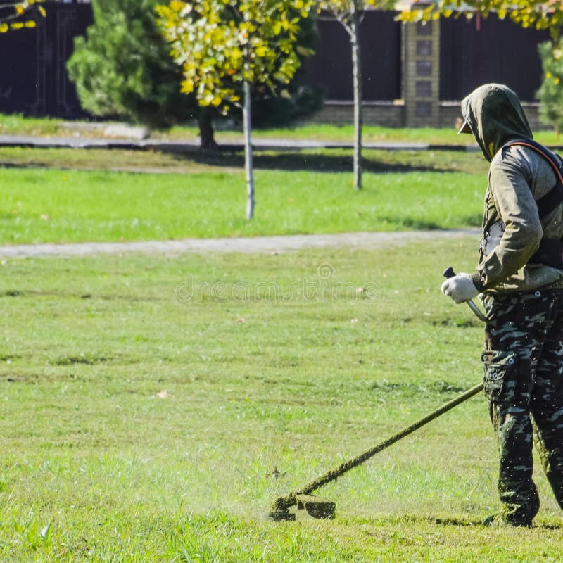 Worker Mowing the Lawn. Mowing Grass Stock Image - Image of grassy ...