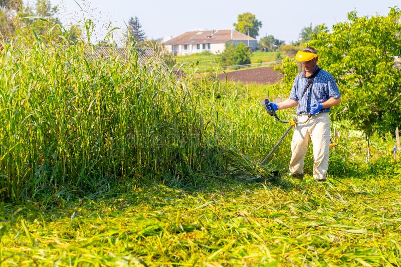 A Worker Mows Tall Grass with an Electric Trimmer Stock Photo - Image ...