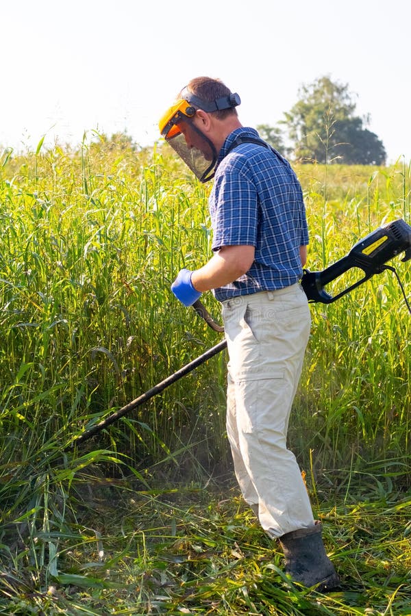 A Worker Mows Tall Grass with an Electric Trimmer Stock Photo - Image ...