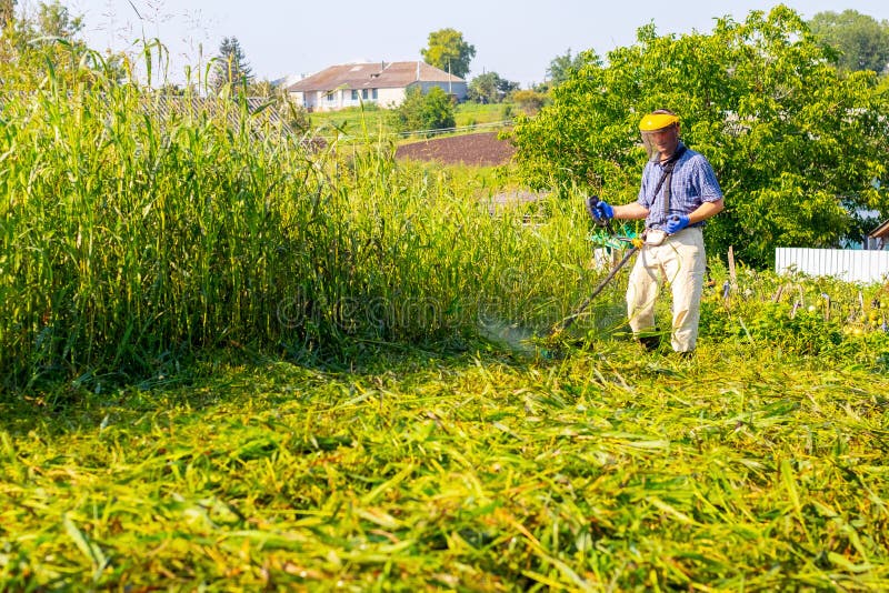 A Worker Mows Tall Grass with an Electric Trimmer Stock Photo - Image ...