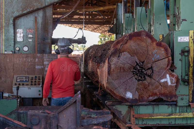 Worker operating a bandsaw editorial photo. Image of rainforest - 281901966