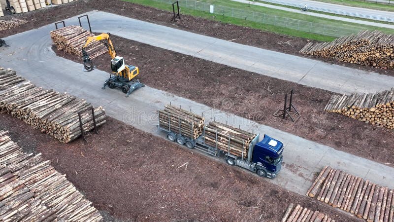 A Worker Operating Loader, Modern Wood Processing Factory, Load Freshly ...
