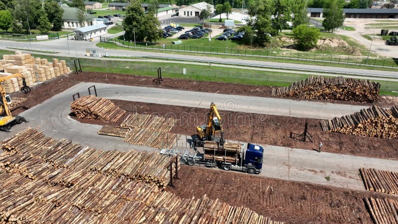 A Worker Operating Loader, Modern Wood Processing Factory, Load Freshly ...