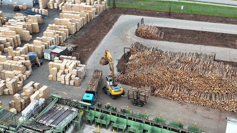 A Worker Operating Loader, Modern Wood Processing Factory, Load Freshly ...