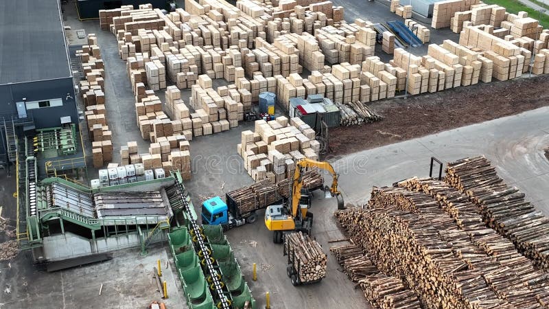 A Worker Operating Loader, Modern Wood Processing Factory, Load Freshly ...