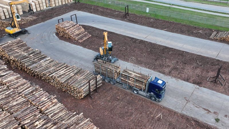 A Worker Operating Loader, Modern Wood Processing Factory, Load Freshly ...