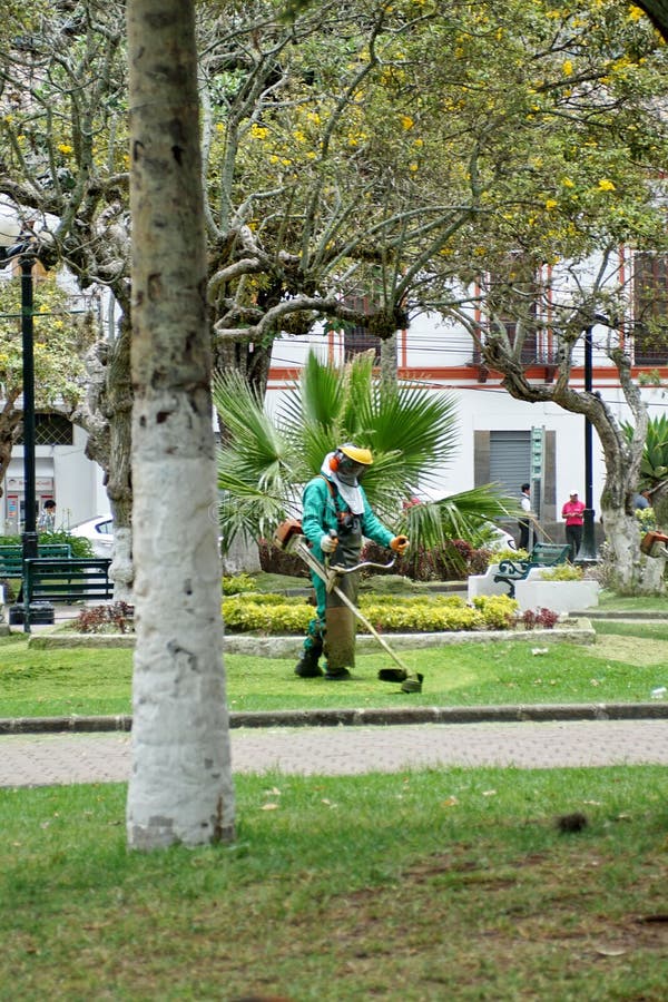 Worker in a park editorial photography. Image of south - 174055032