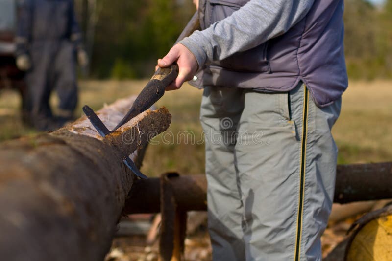 Worker Peeling Off Wooden Logs Stock Image - Image of lumber, field ...