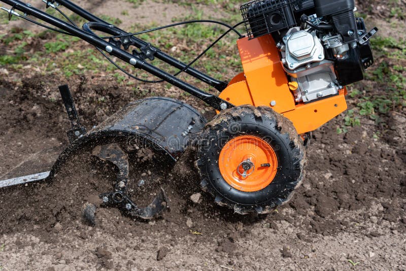 Plower Garden Stock Photos - Free & Royalty-Free Stock Photos from ...