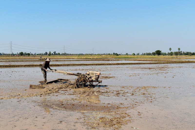 Worker Plowing in Rice Field Prepare Plant Rice Editorial Photography ...
