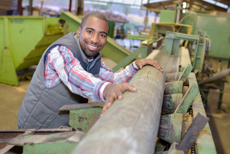 Worker Preparing the Timber Stock Image - Image of paper, worker: 122452217