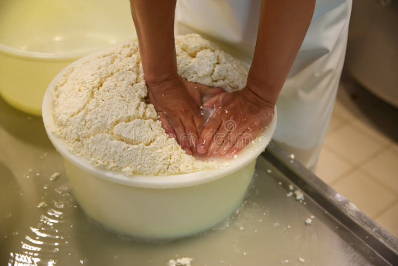 Worker Pressing Curd into Mould at Cheese Factory Stock Photo - Image ...