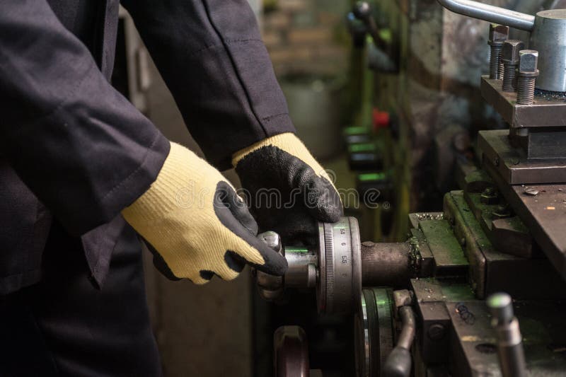 Worker in Protective Gloves Stock Photo - Image of people, green: 69359498