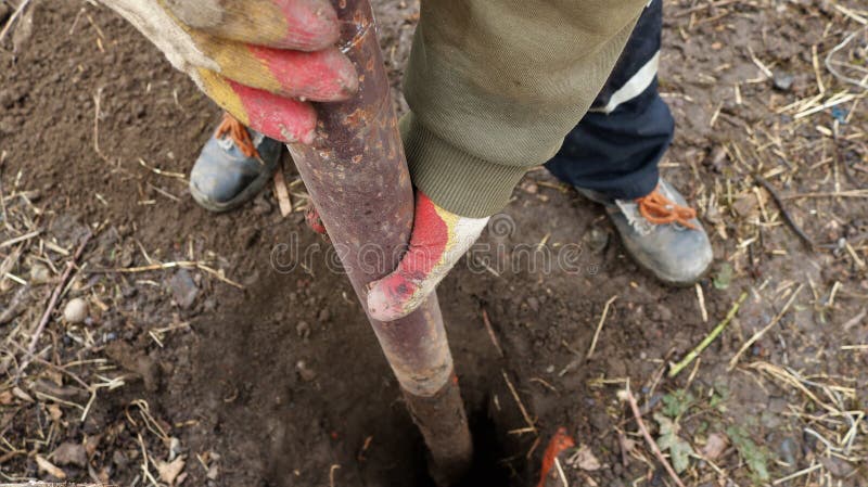 A Worker Takes Out an Old Iron Post from the Soil Stock Photo - Image ...
