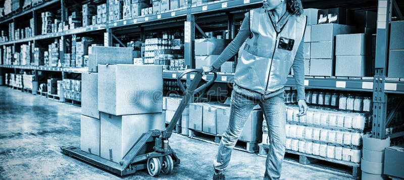 Worker Pushing Trolley with Boxes Stock Image - Image of 2024 ...