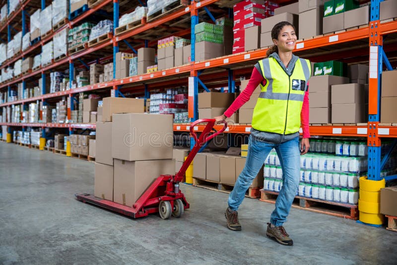 Worker Pushing Trolley with Boxes Stock Photo - Image of pallet, female ...