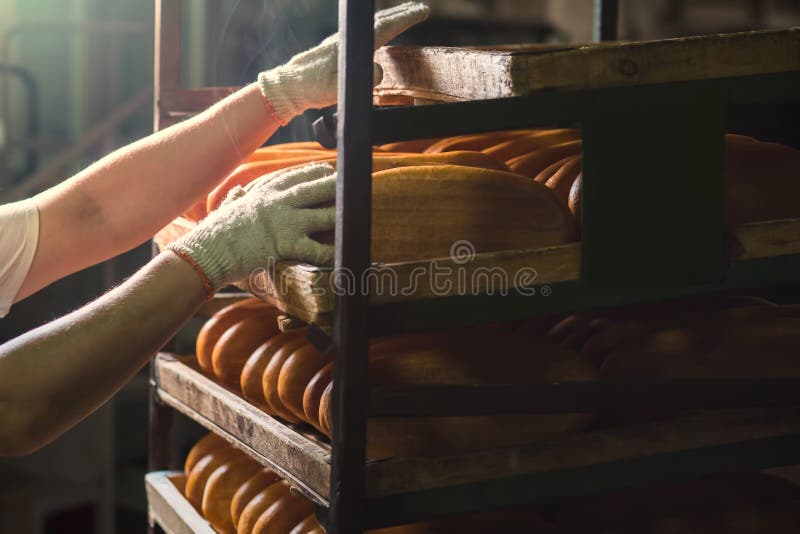 Worker Puts Fresh Bread on Rack. Baker Working at Bakery Stock Photo ...