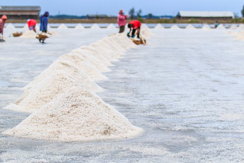 Worker at salt field stock photo. Image of reflection - 57916966