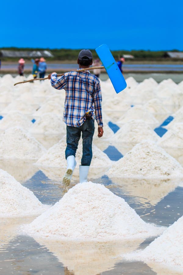 Worker at salt field editorial photo. Image of industry - 57924406